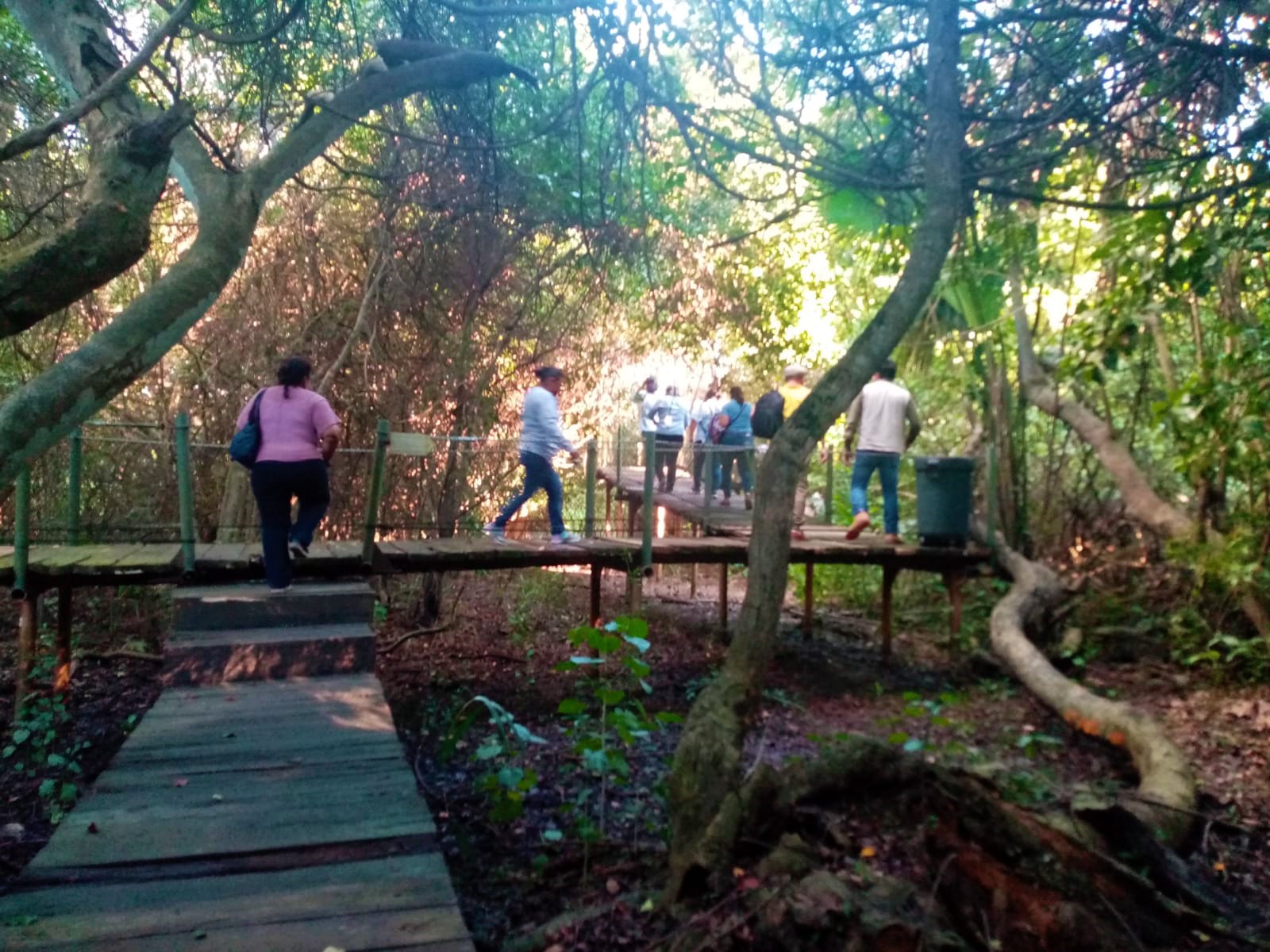 TOUR PANTANOS DE CENTLA – GRACE