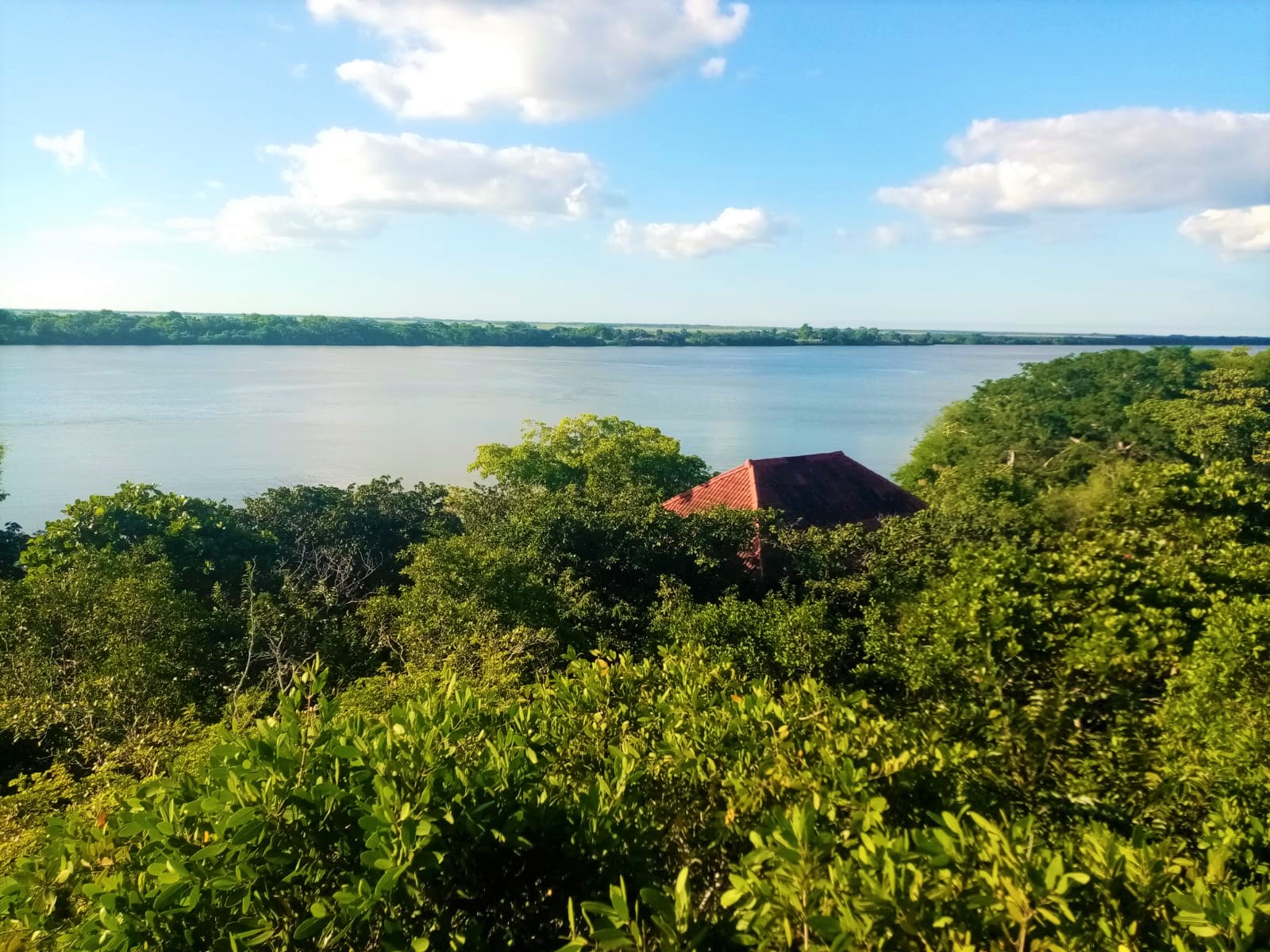 TOUR PANTANOS DE CENTLA – GRACE