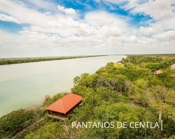 TOUR PANTANOS DE CENTLA - GRACE